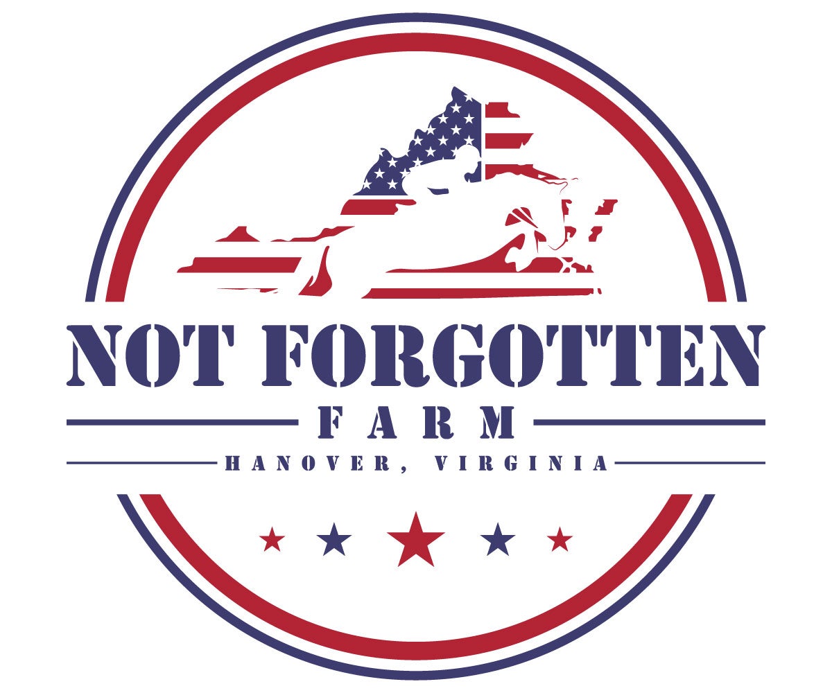 Get Better with Horses | Not Forgotten Farm, LLC